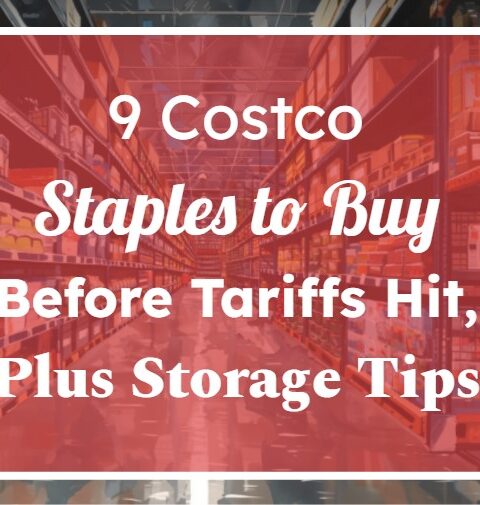 7 Costco Ice Cream Flavor Ranked from Worst to Best – RetailShout.com