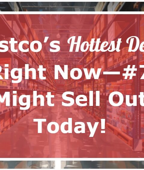 13 Must-Try Costco Desserts Shoppers Love Right Now – RetailShout.com