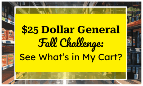 $25 Dollar General Fall Challenge: See What’s in My Cart? – RetailShout.com