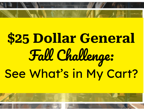 Dollar General Penny List: 13 Must-Have Deals to Snag This Week ...