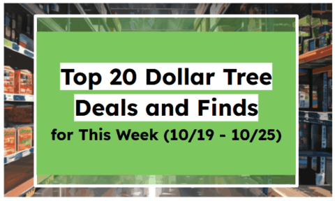 Top 20 Dollar Tree Deals and Finds for This Week (10/19 – 10/25 ...
