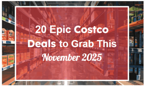 20 Epic Costco Deals to Grab This November – RetailShout.com