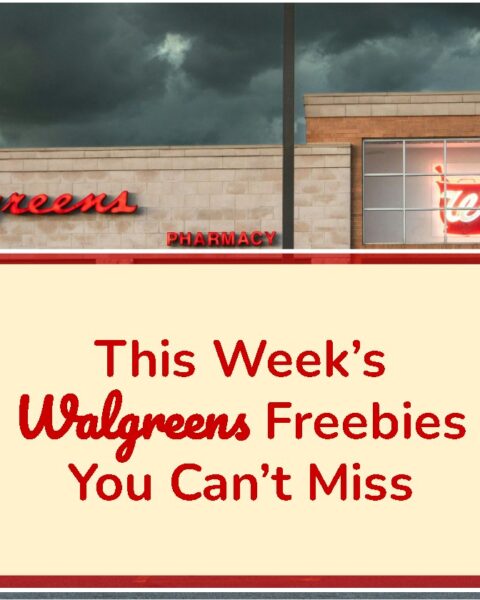 Passport Photos At Walgreens (Cost & Time) – RetailShout.com